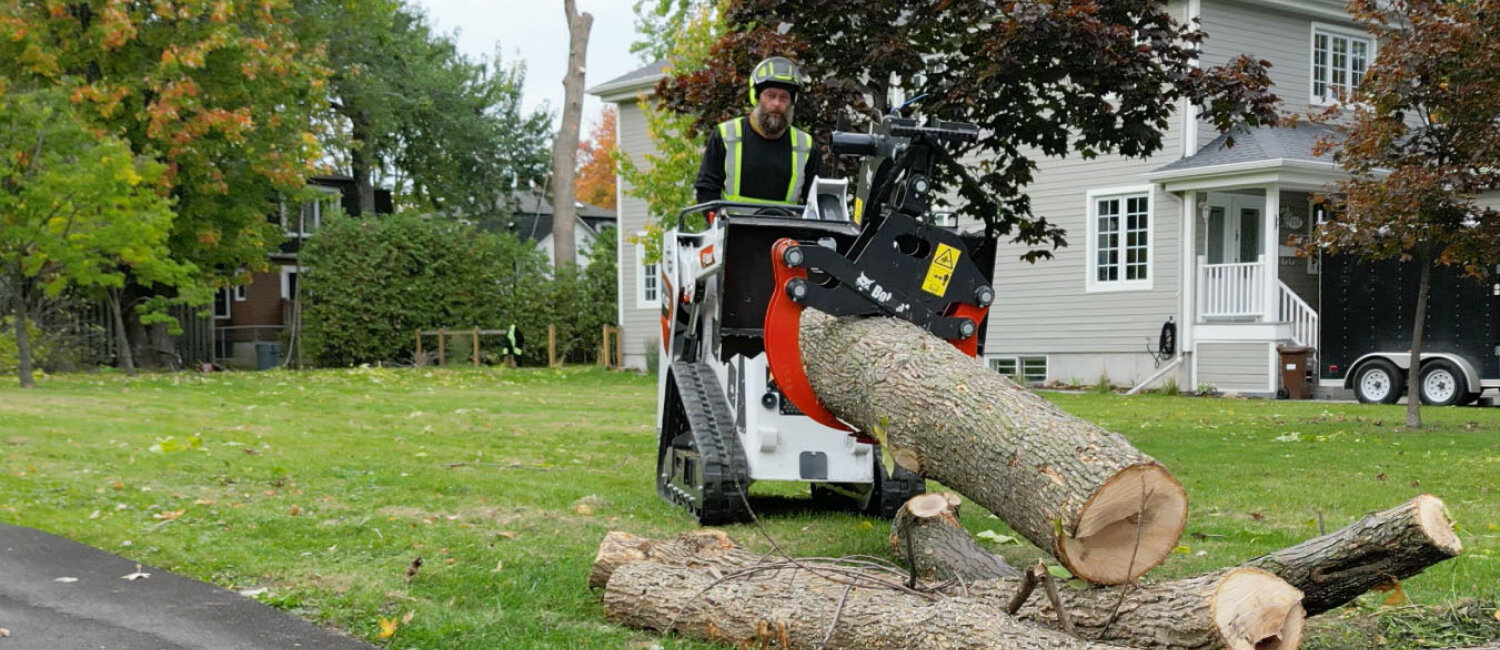 Tree Removal – Tree Service | Arbo MTL